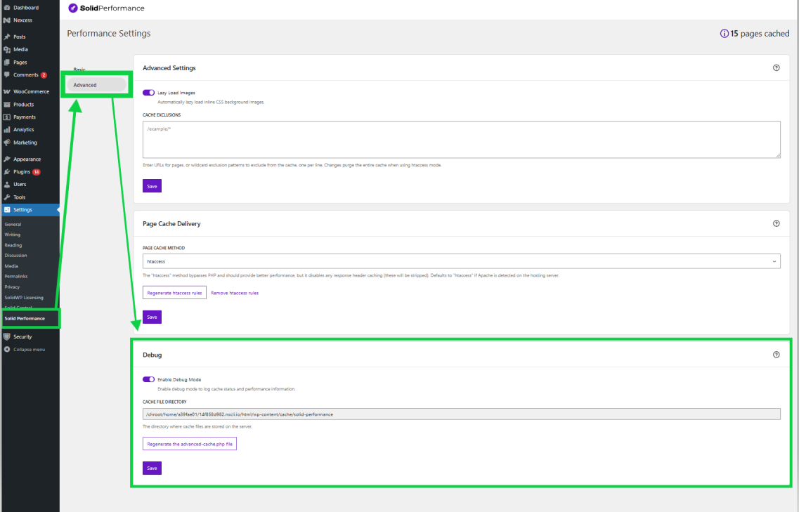 Solid Performance: Debug Feature - SolidWP